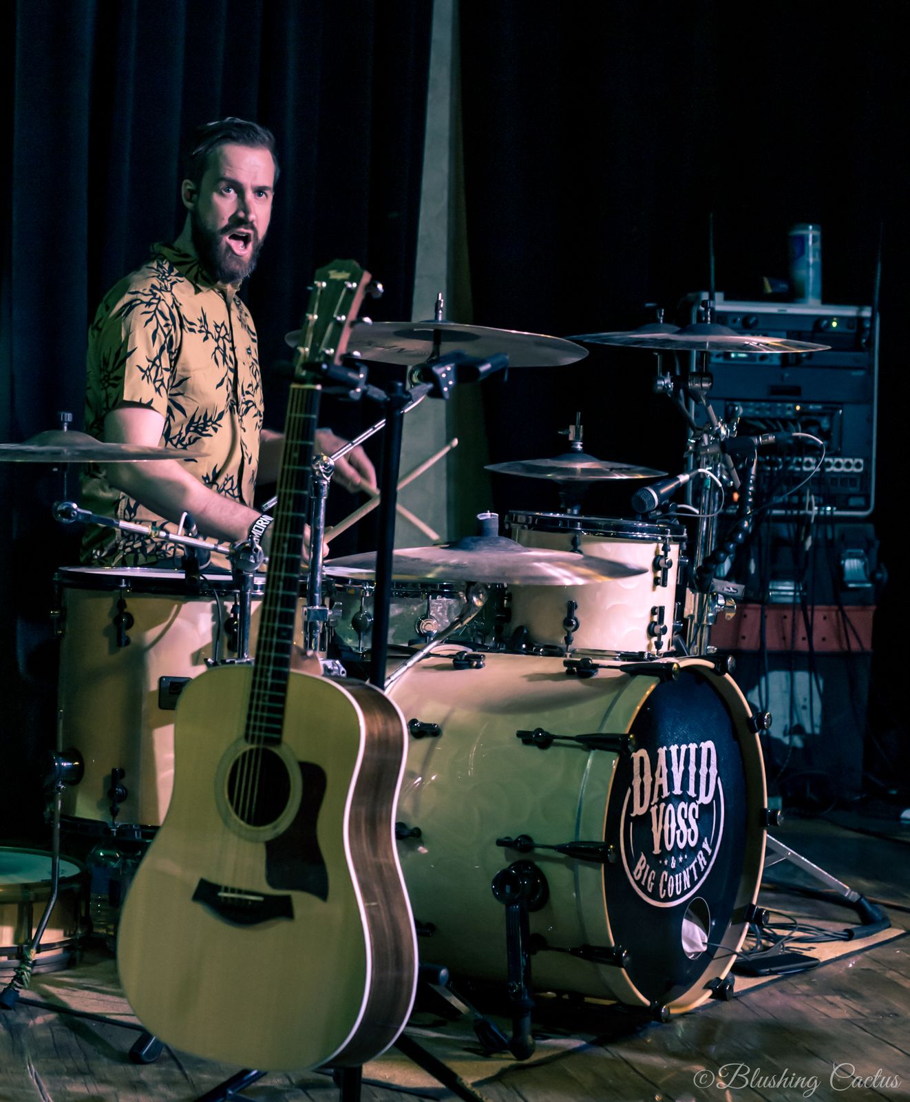 David Voss & Big Country - Photos