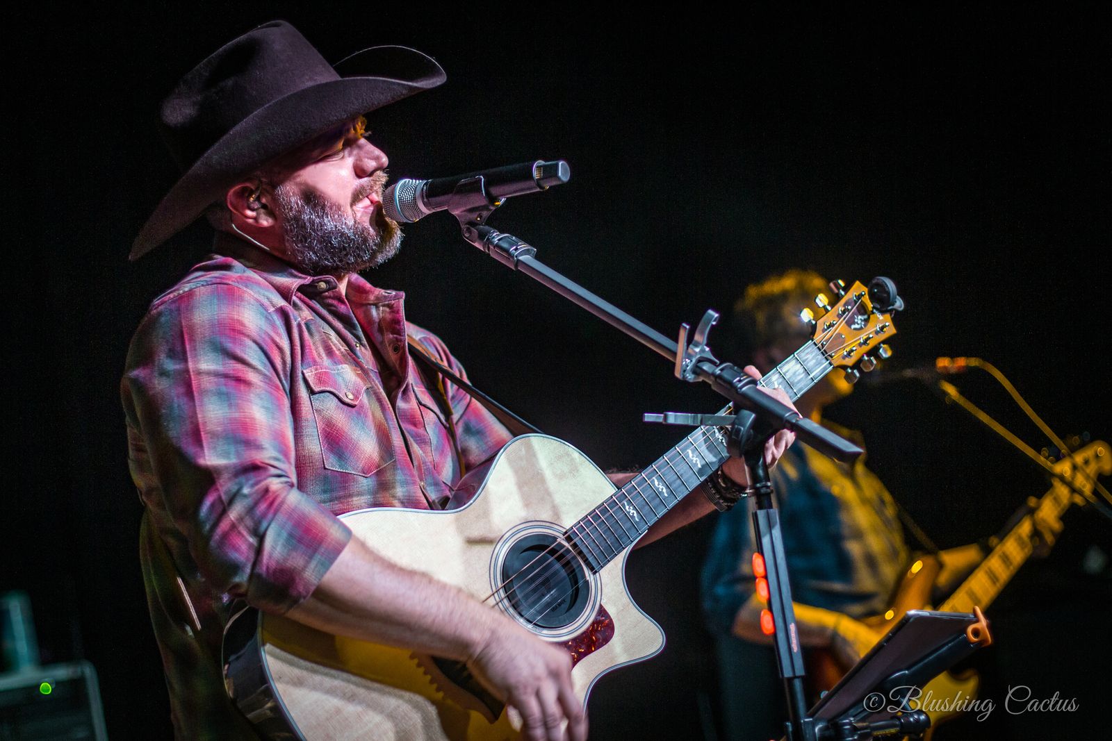 David Voss & Big Country - Photos