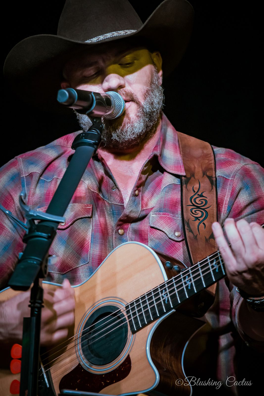 David Voss & Big Country - Photos