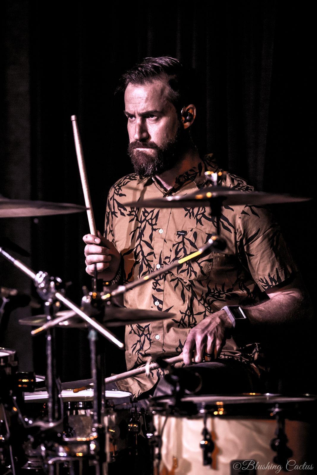 David Voss & Big Country - Photos