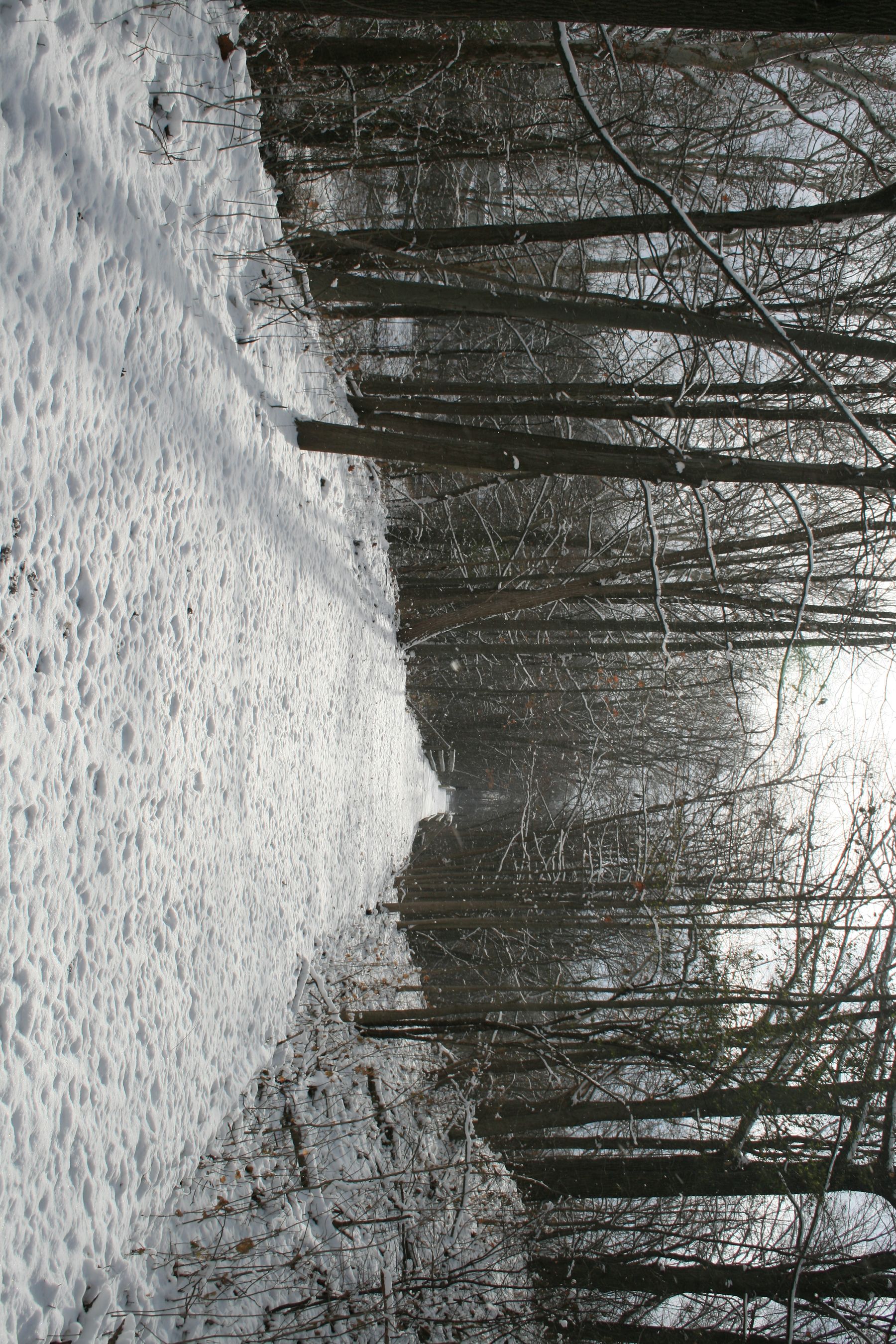 Ontario Pathways - Trail Description