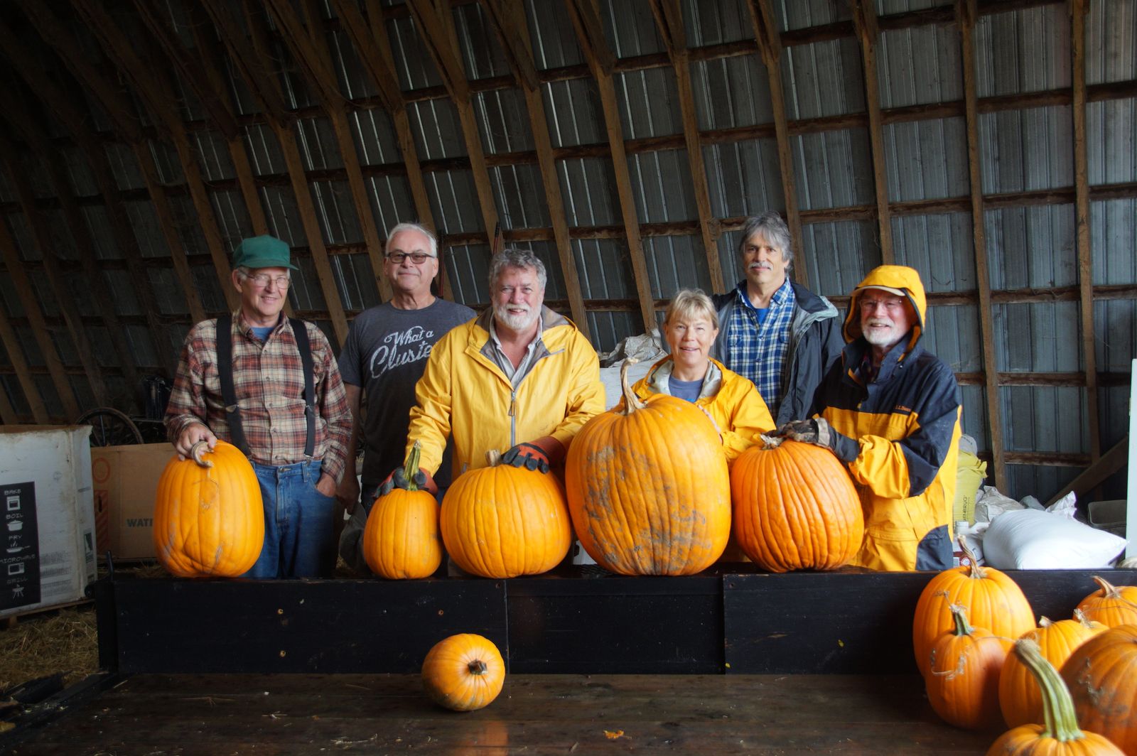 Ontario Pathways - Gallery