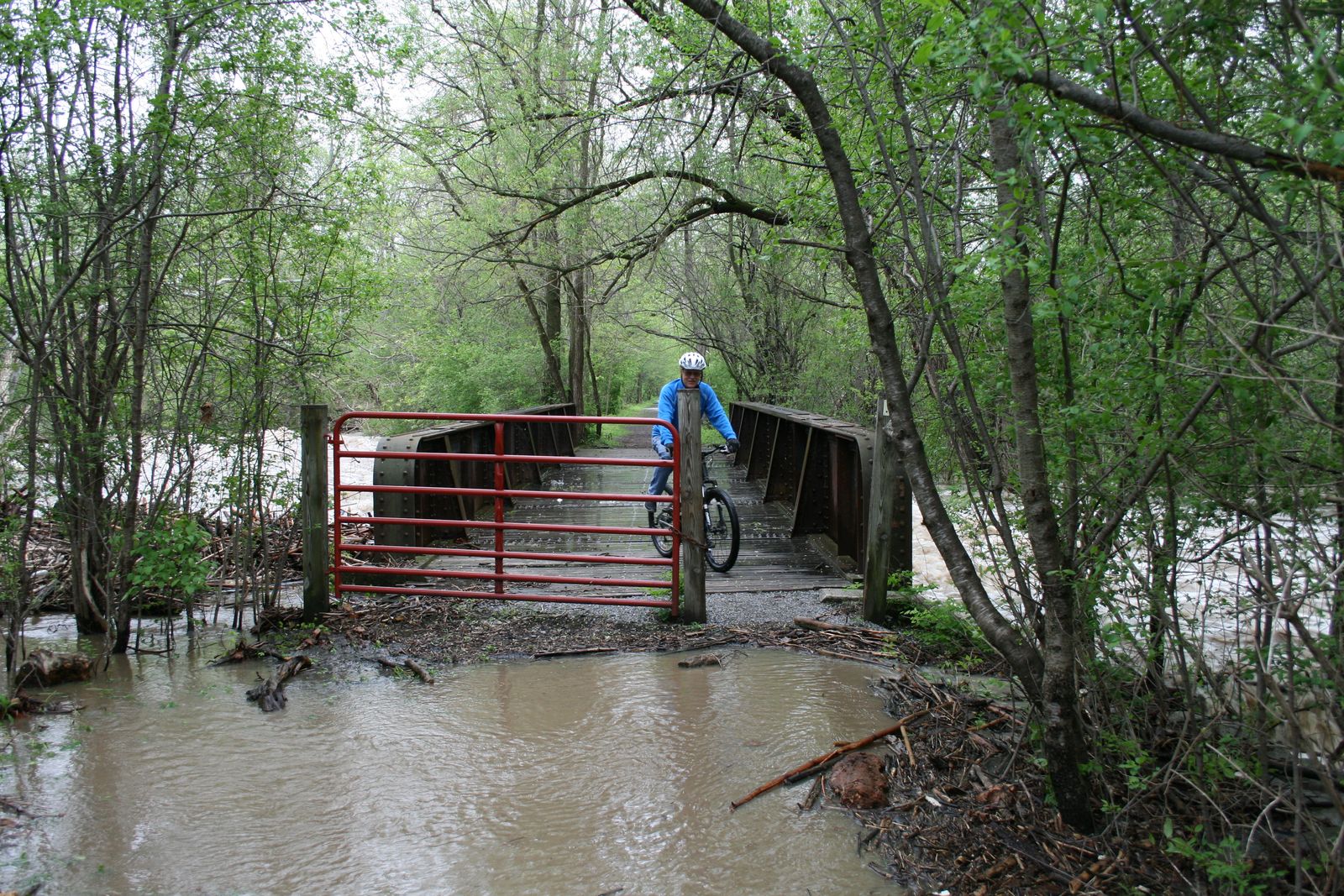 Ontario Pathways - Gallery