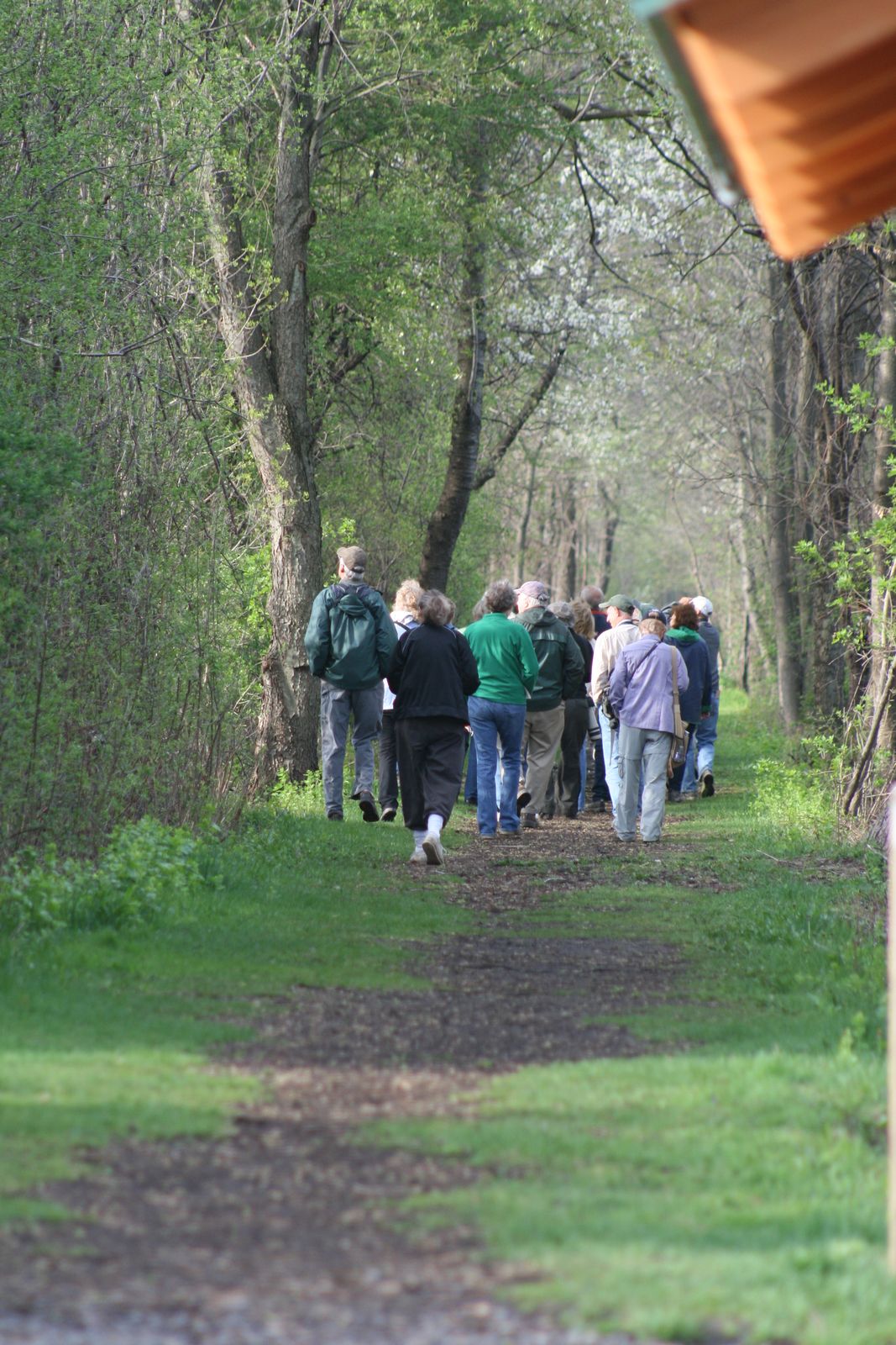 Ontario Pathways - Gallery