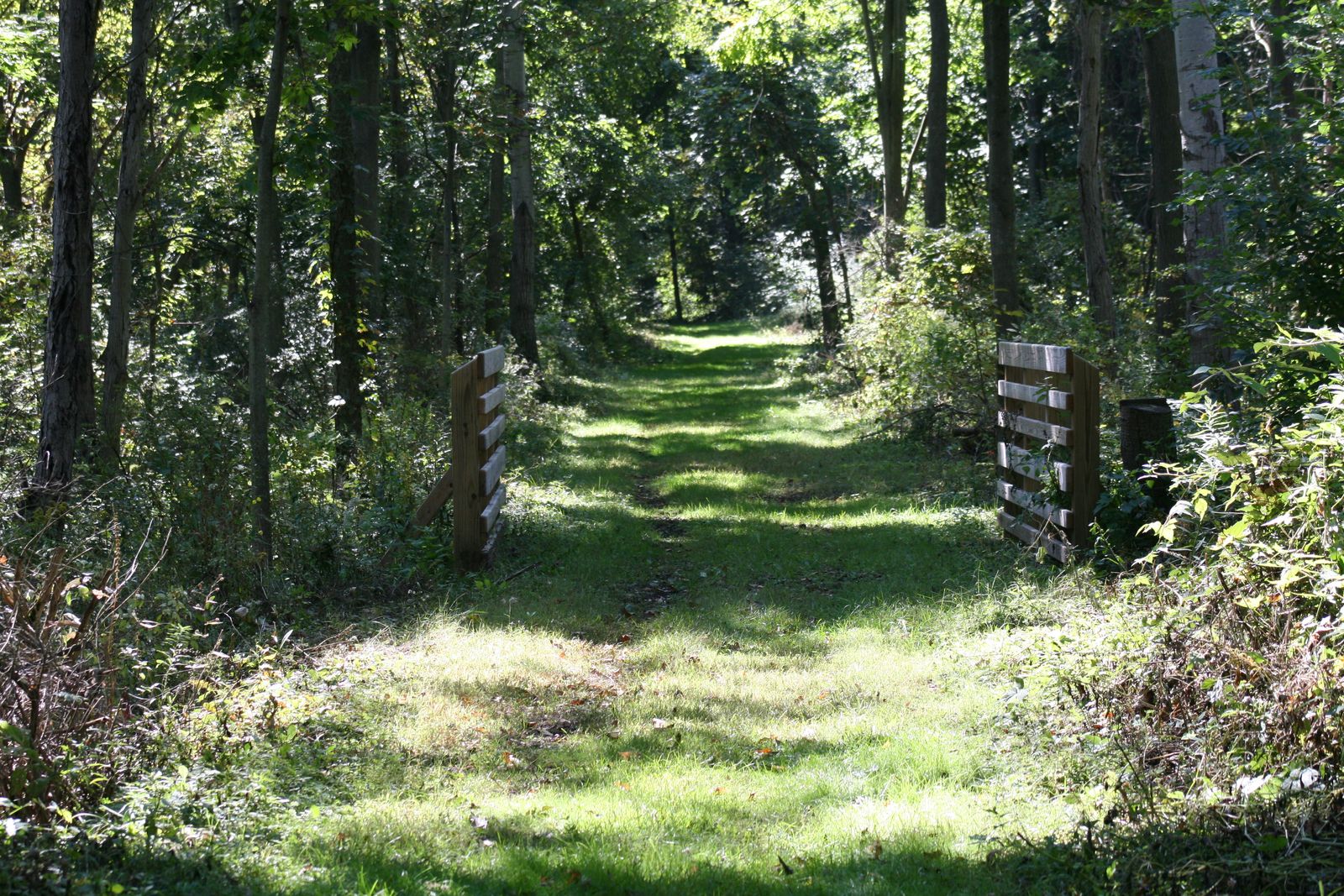 Ontario Pathways - Gallery