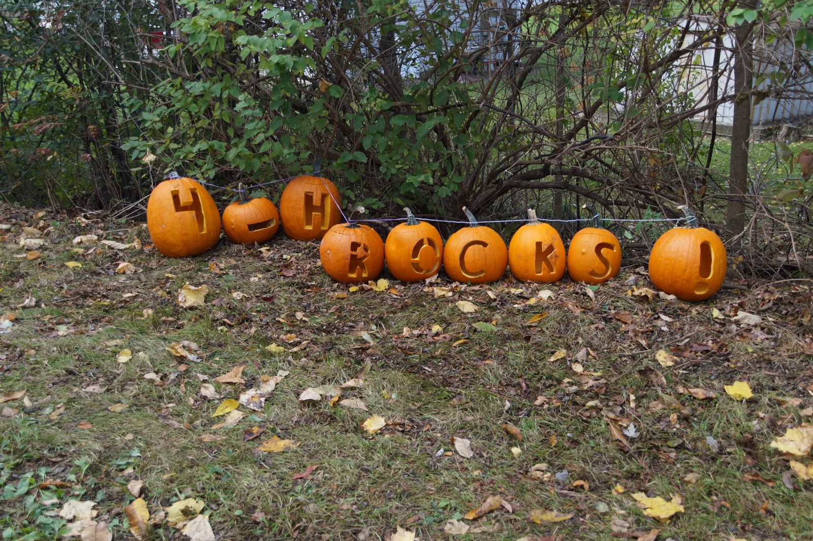 Ontario Pathways - Gallery