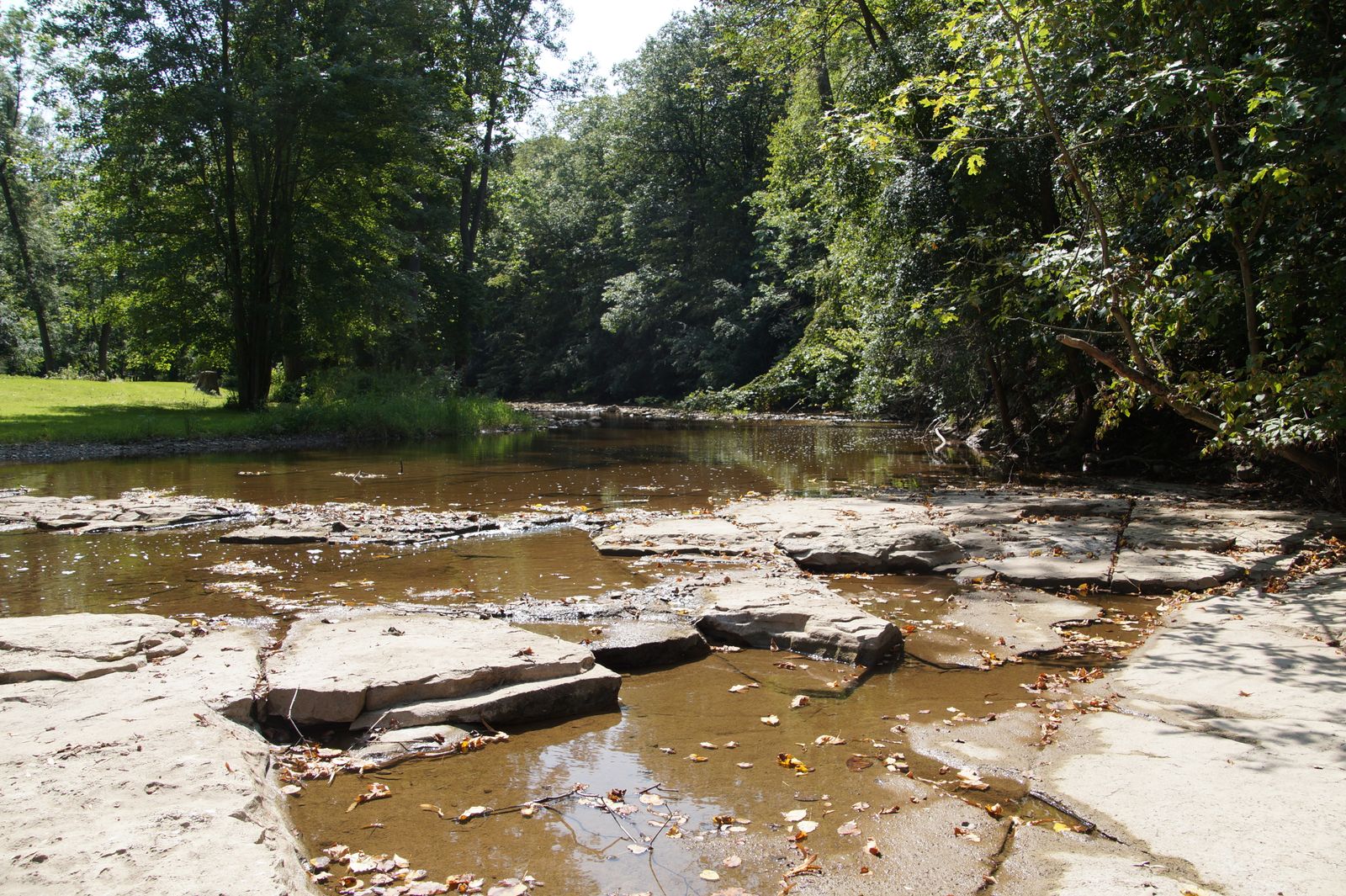 Ontario Pathways - Gallery