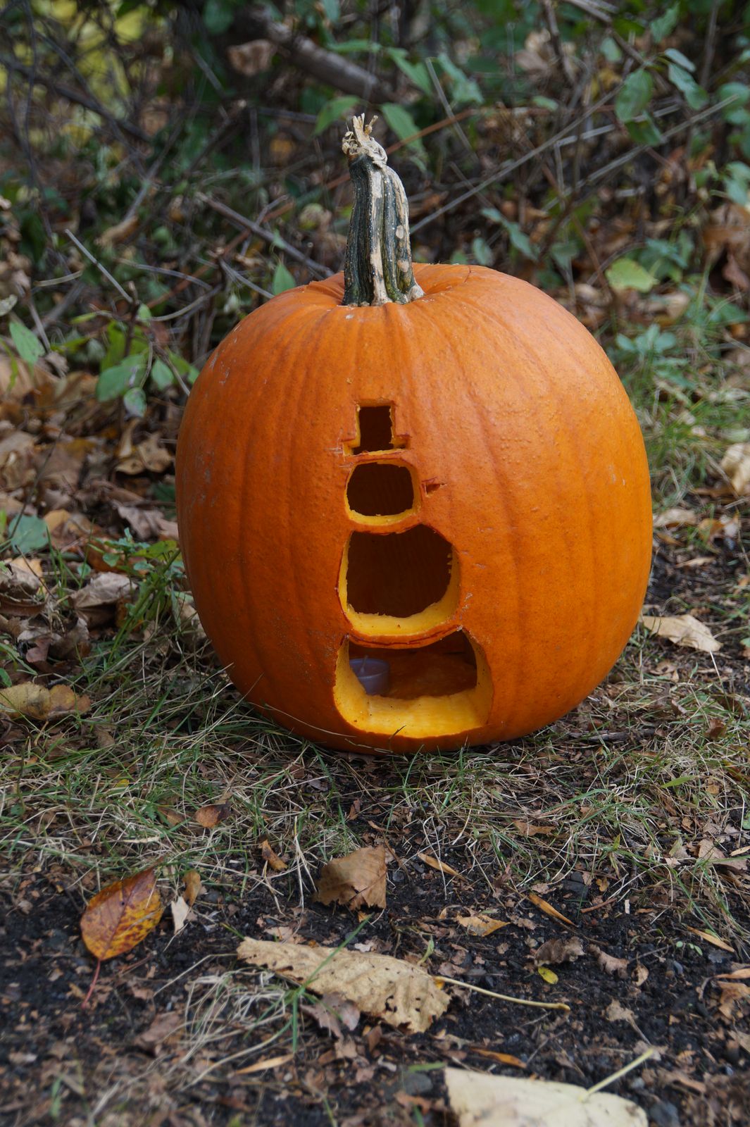 Ontario Pathways - Gallery