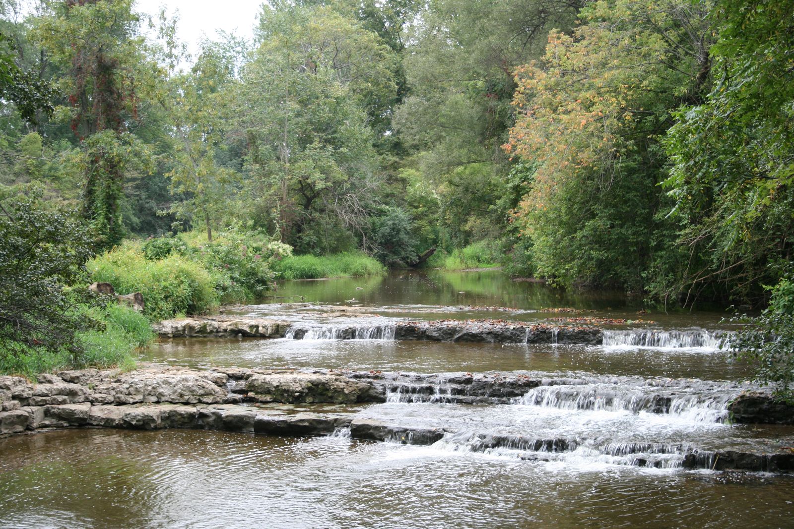 Ontario Pathways - Gallery