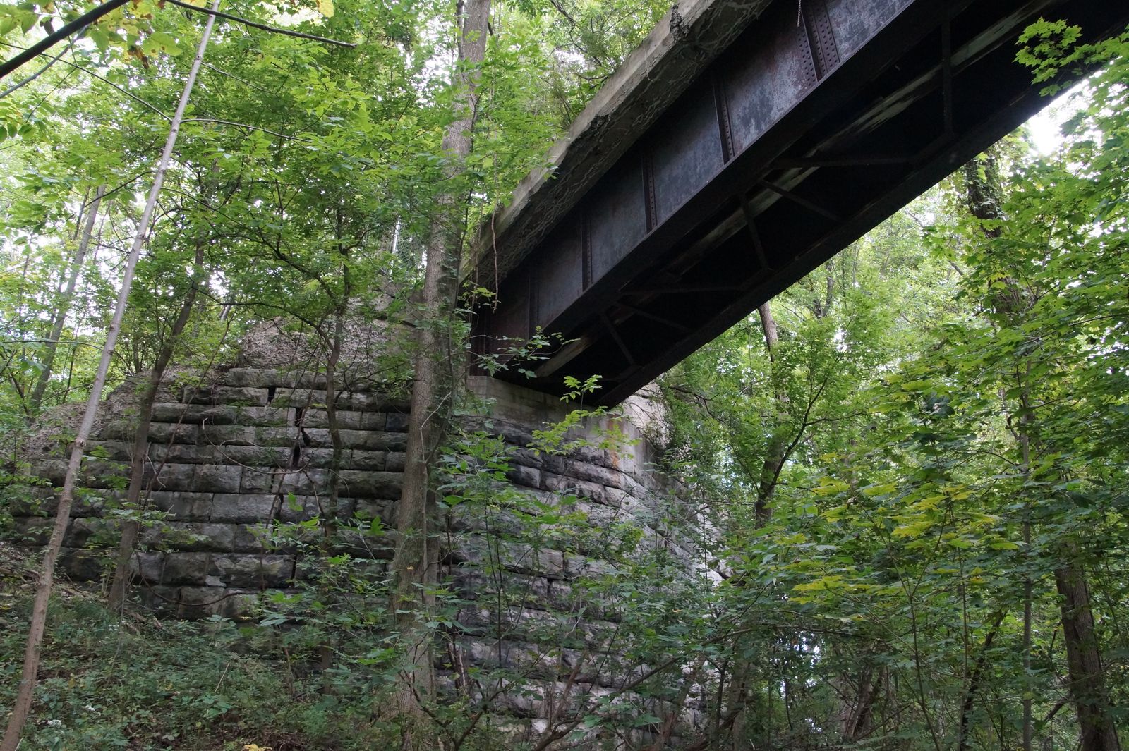 Ontario Pathways - Gallery