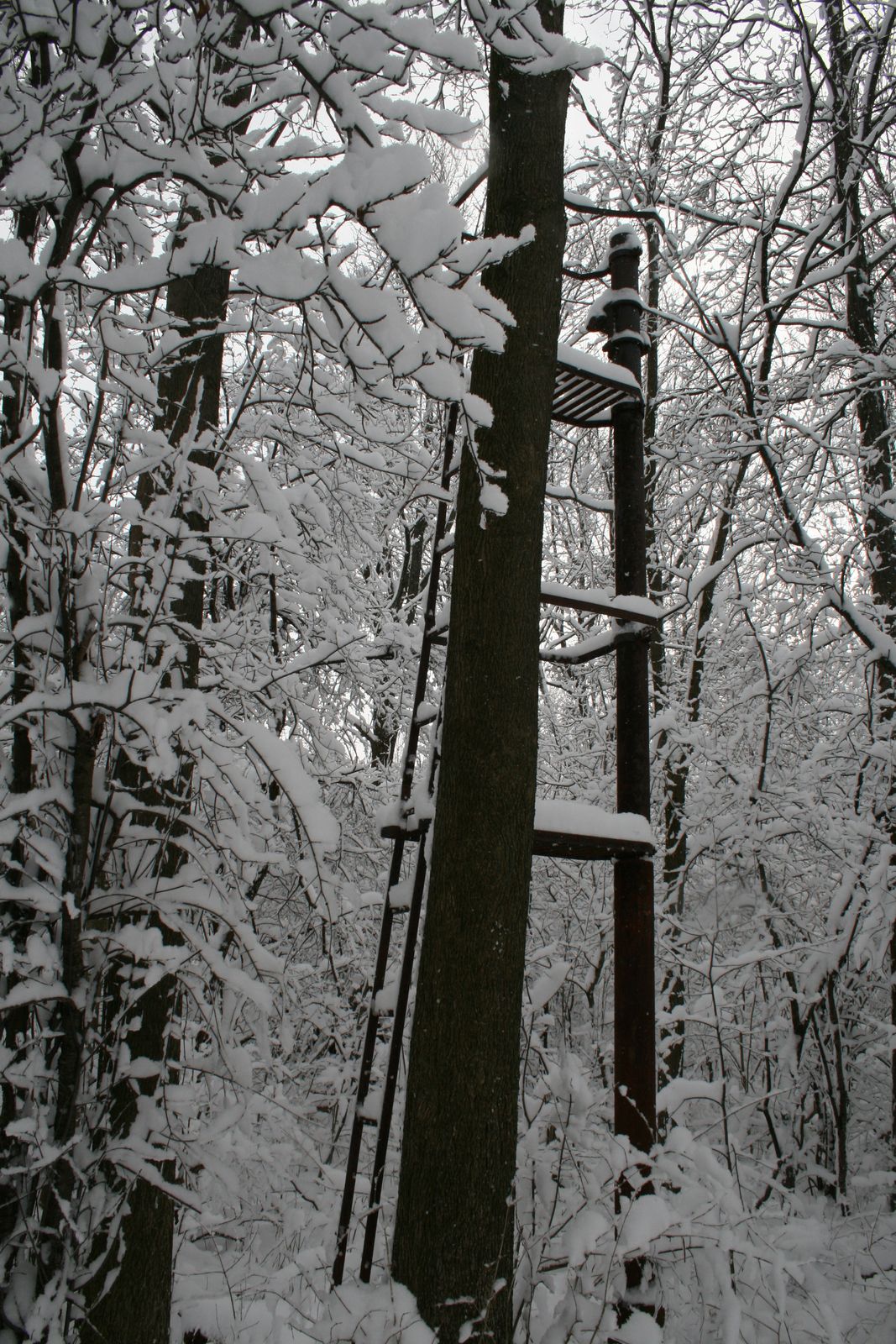 Ontario Pathways - Gallery