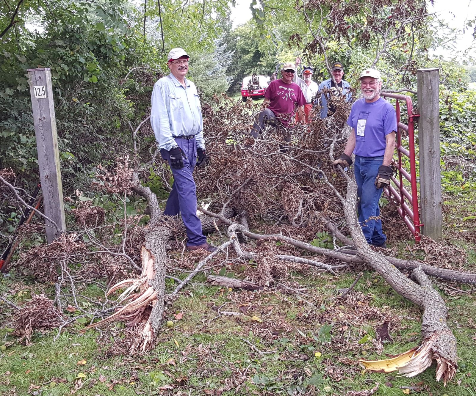 Ontario Pathways - Gallery