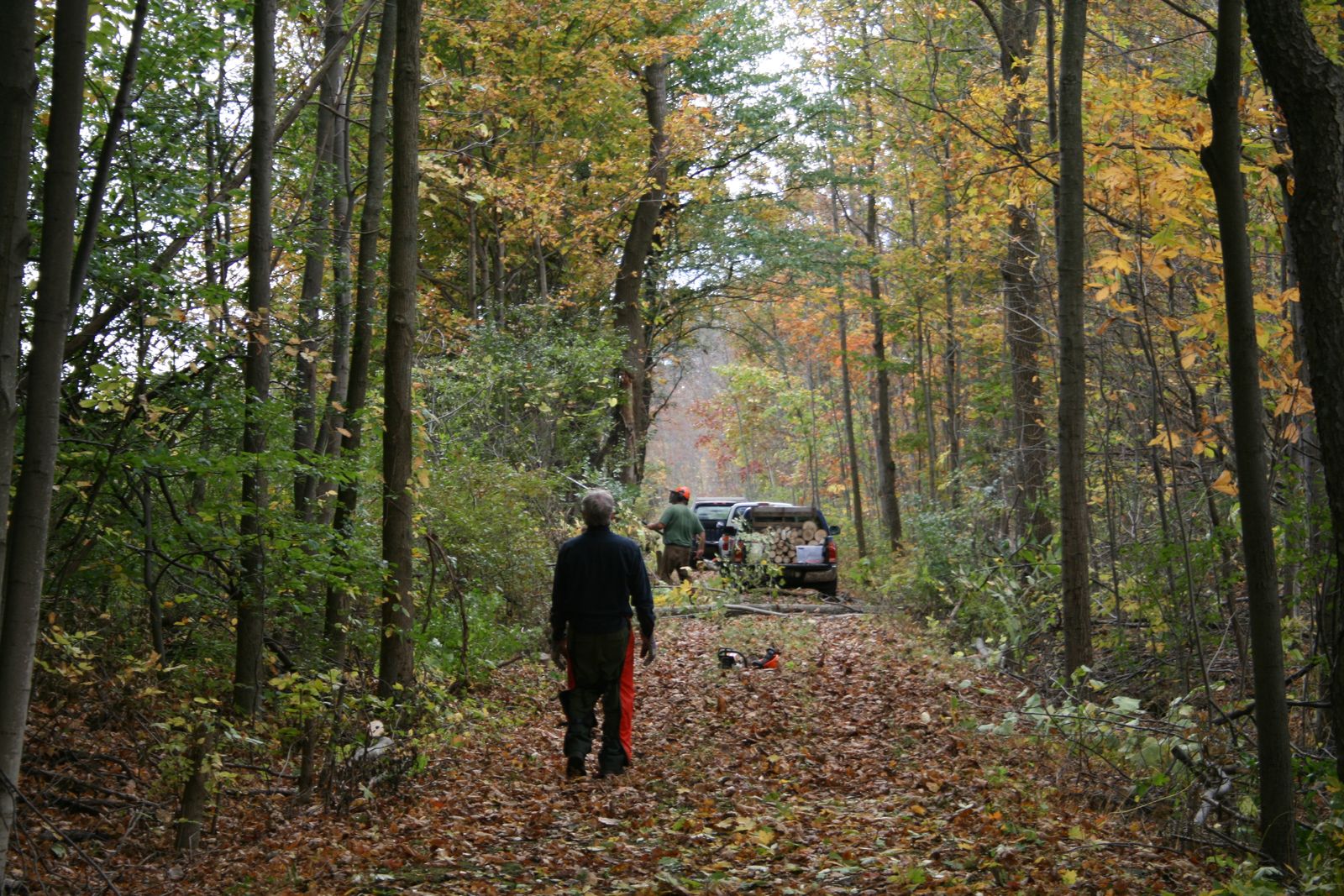 Ontario Pathways - Gallery