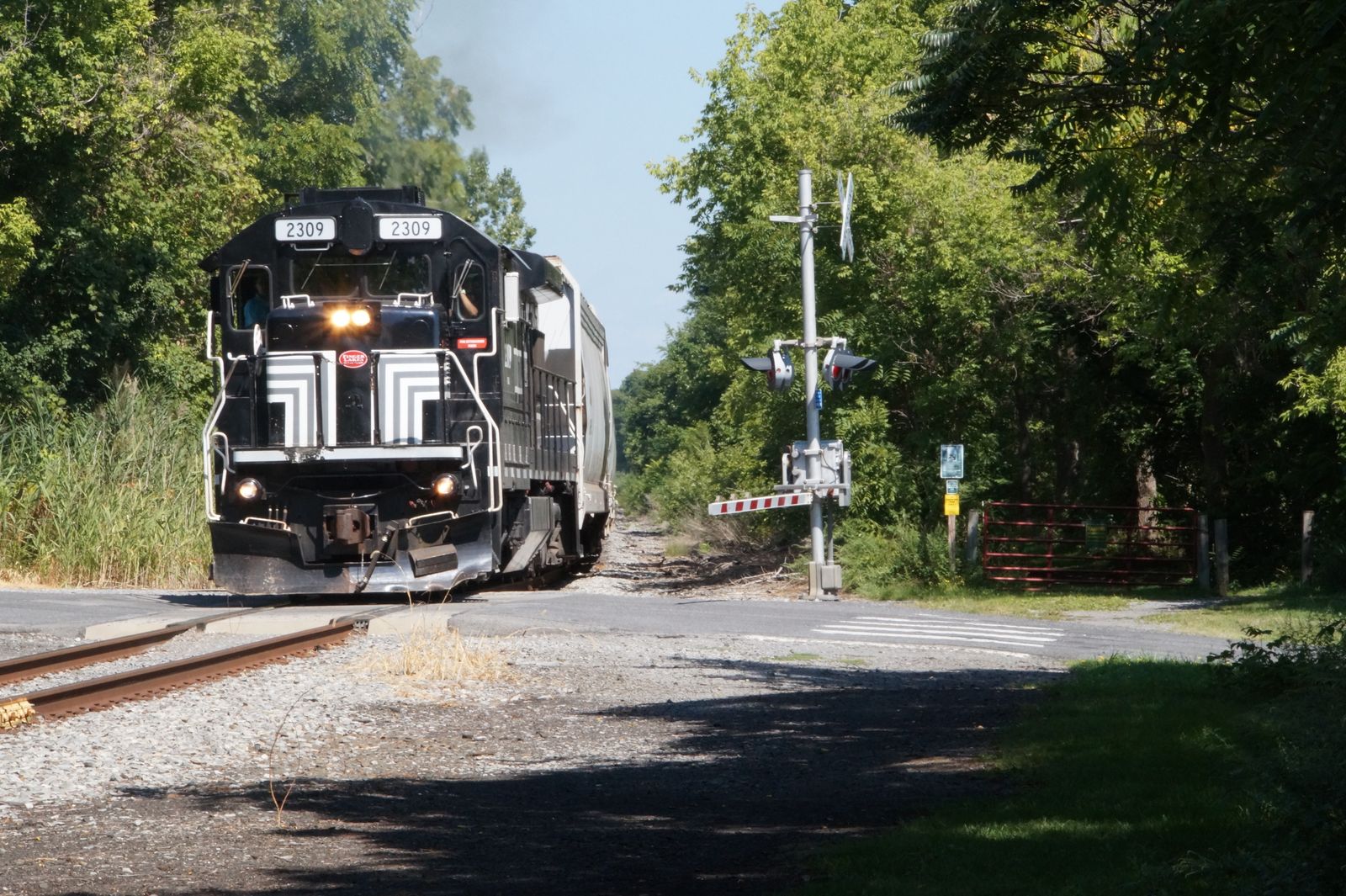 Ontario Pathways - Gallery