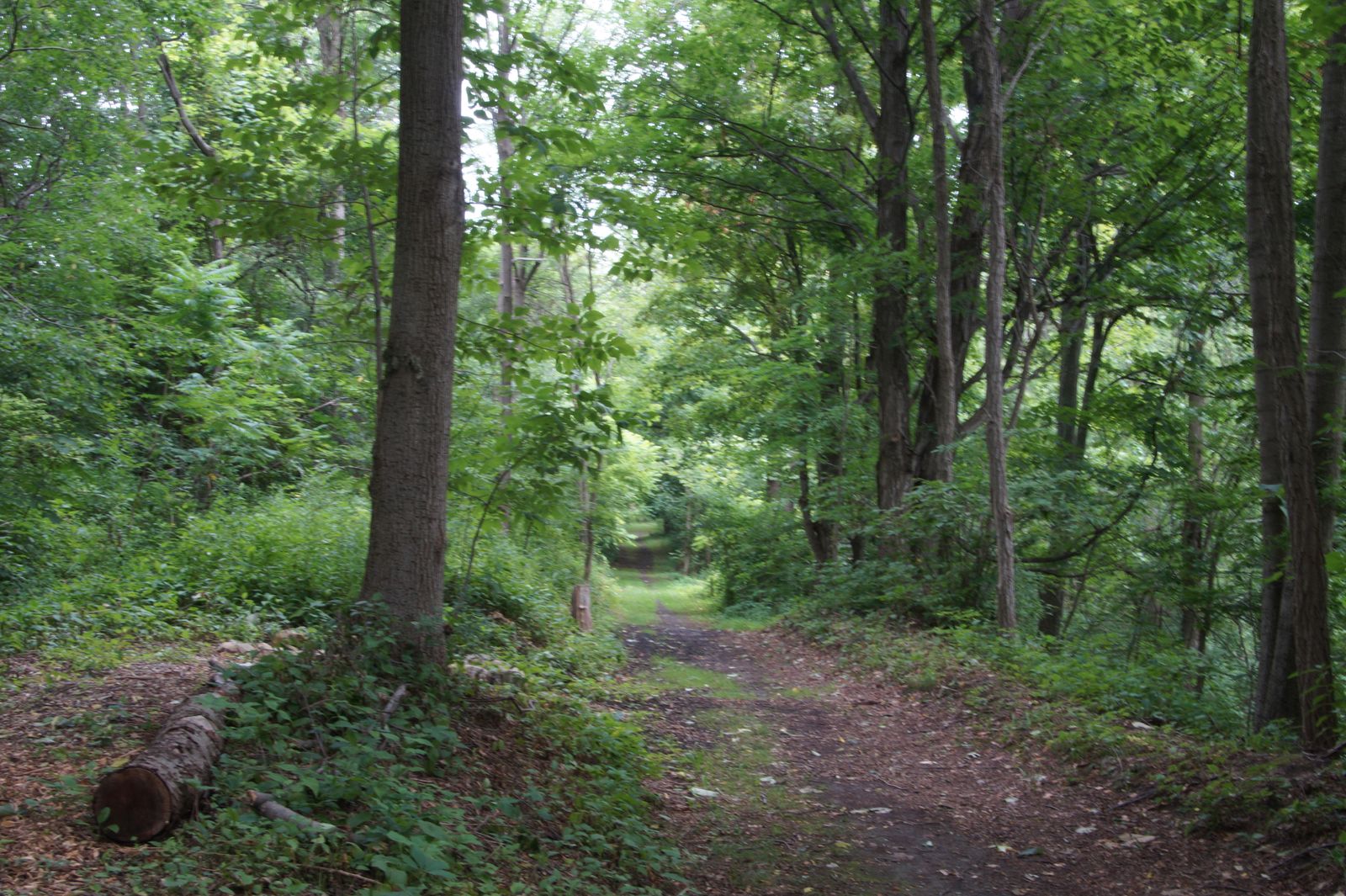 Ontario Pathways - Gallery