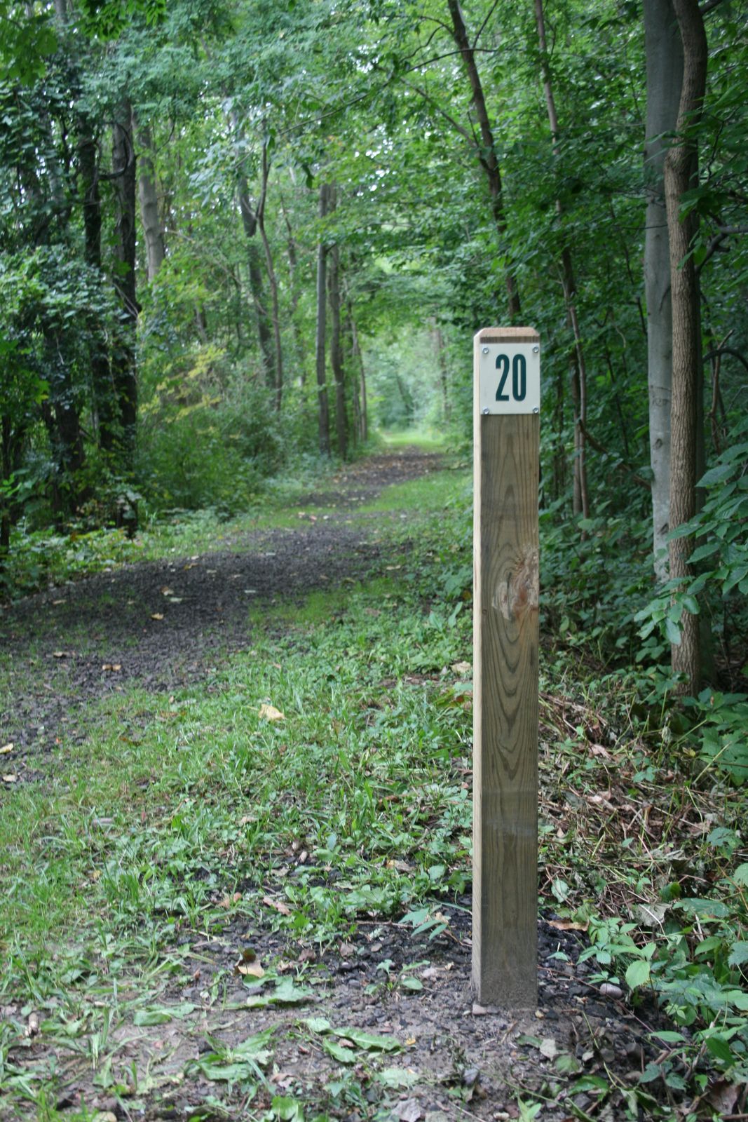 Ontario Pathways - Gallery