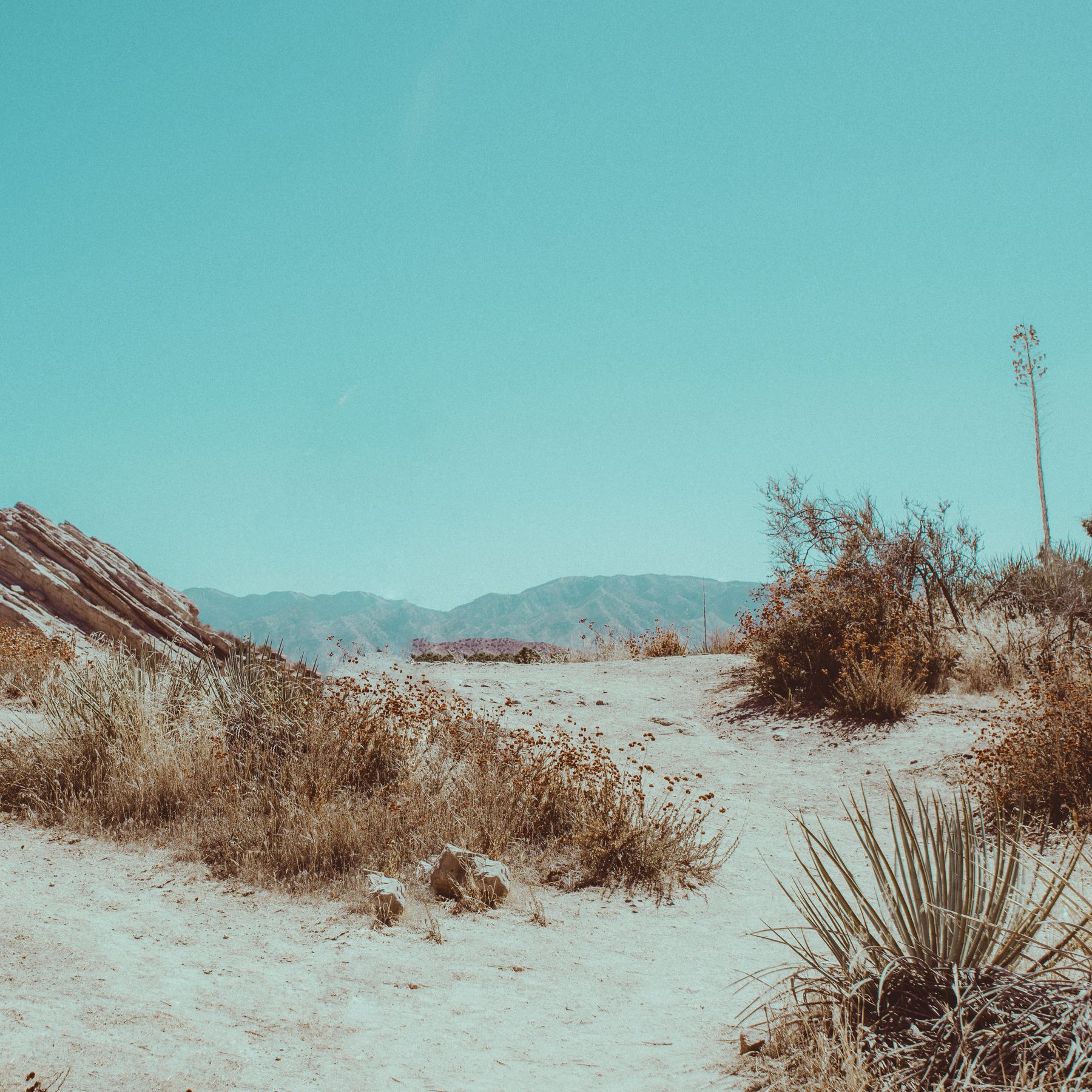 Emily Kinney - Shows