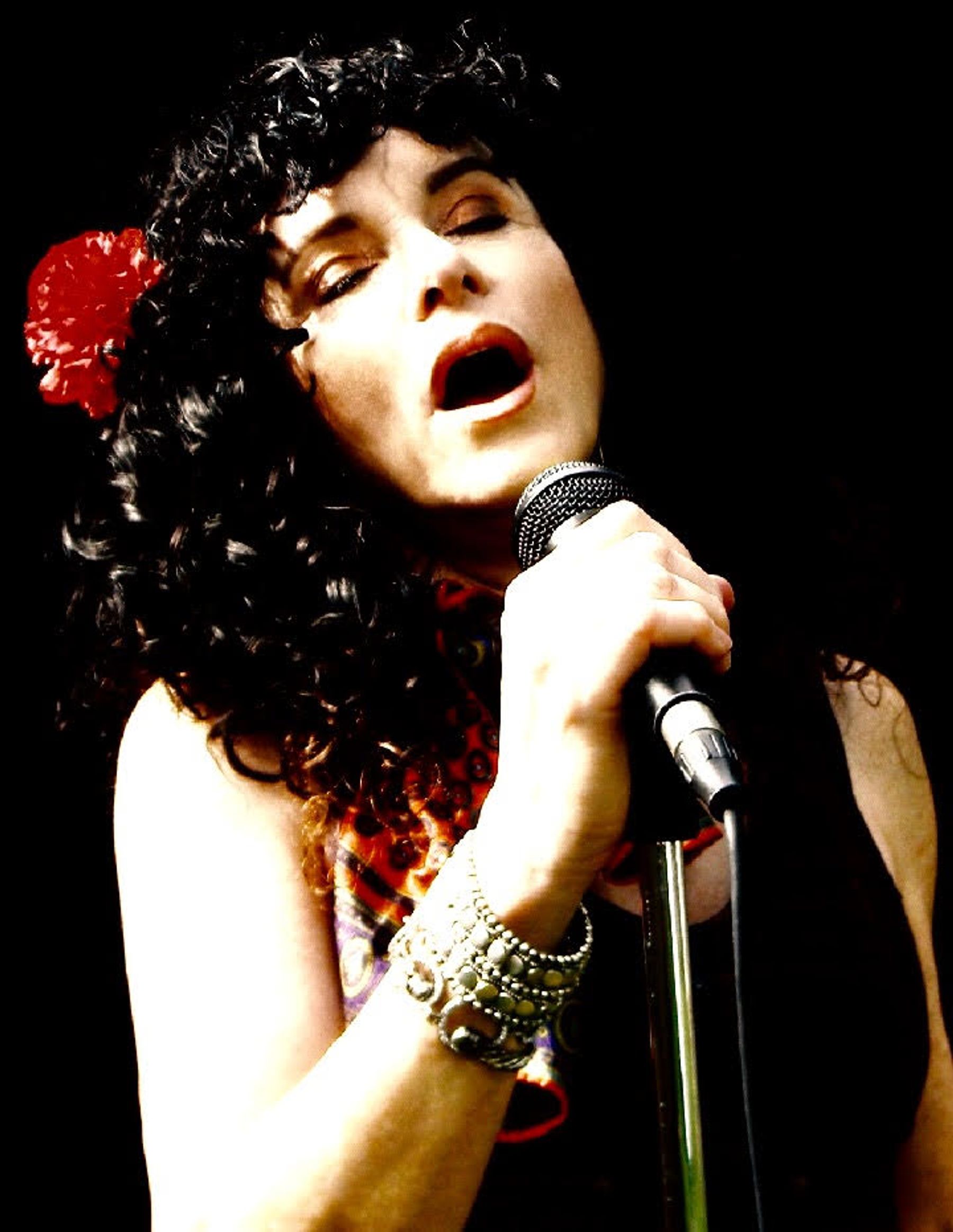 Debbie Rider-Singer-Songwriter-Linda Ronstadt Tribute Artist - About