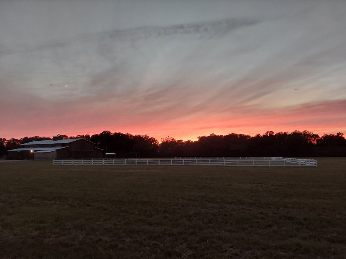 Meadows Farm & Venue - Video/Photos