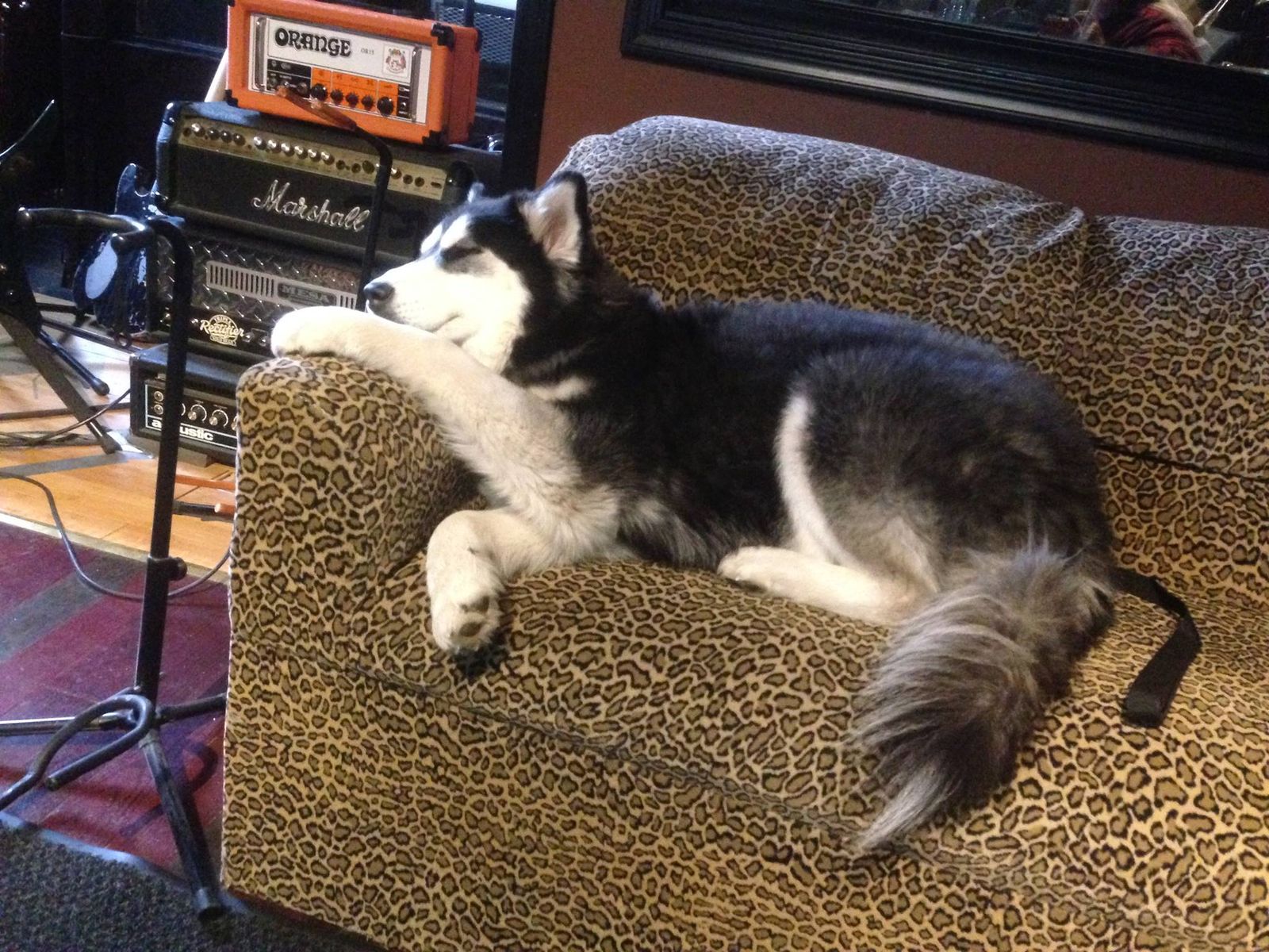 autumn christensen.com - Photos