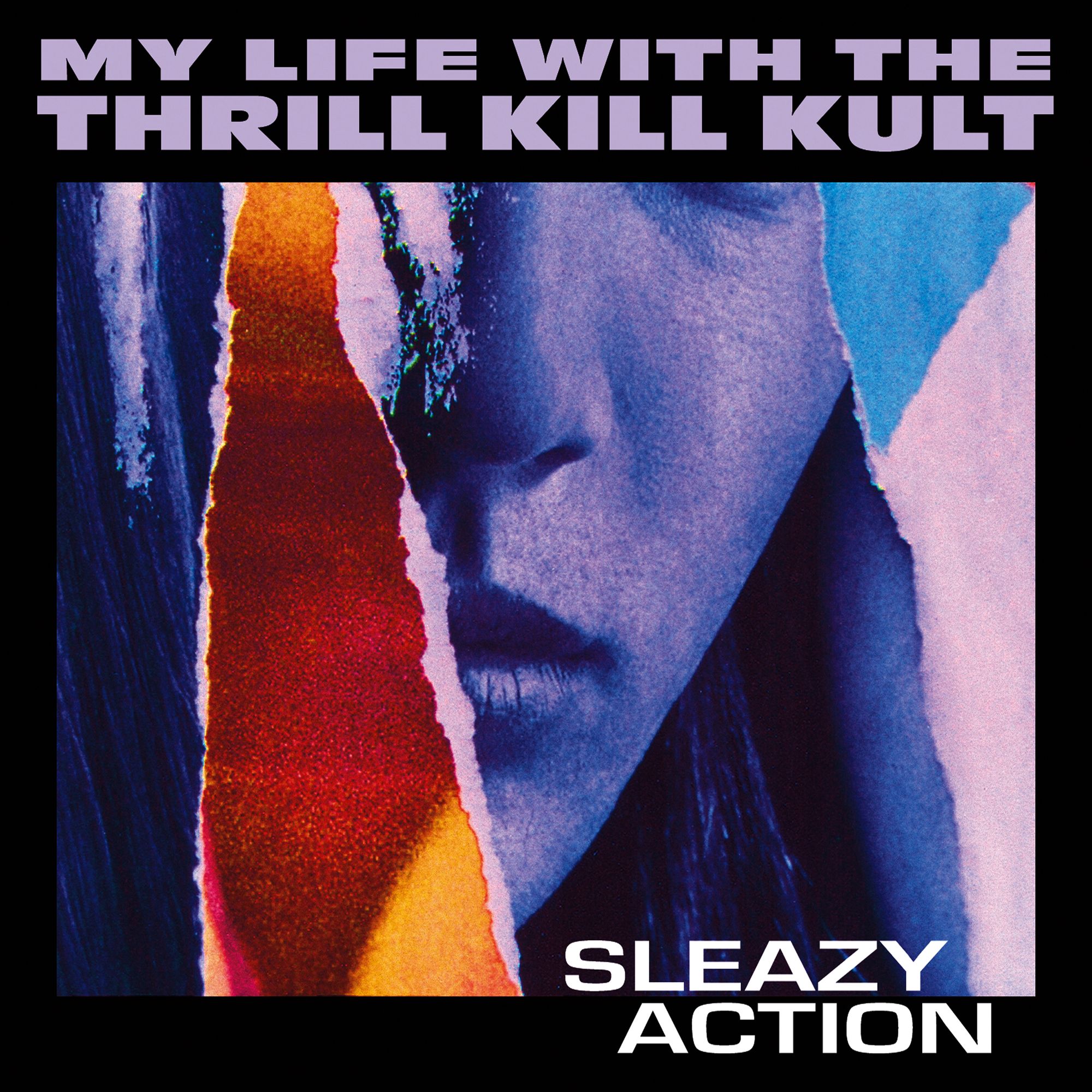My Life With The Thrill Kill Kult