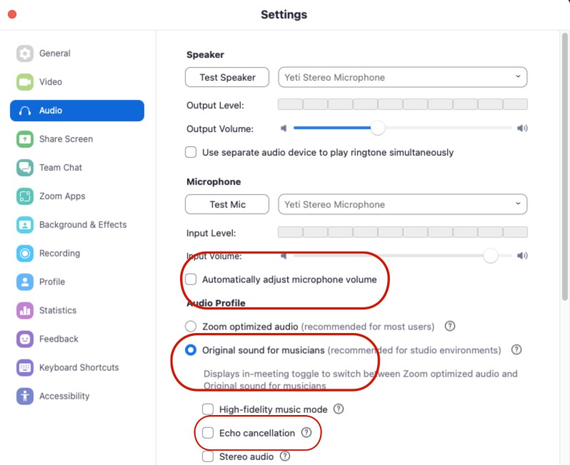 UPDATED: Optimal Zoom Settings for Online Music Lessons