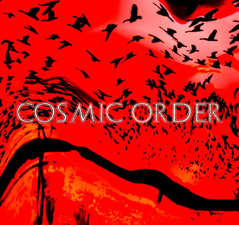 Cosmic Order