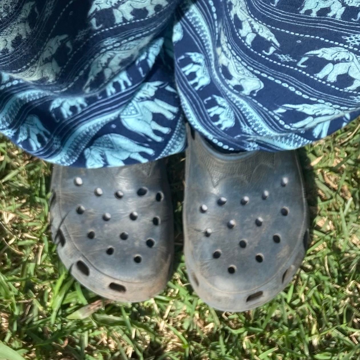 🐊 CROCS: Ugly, Comfy, and Inspiring