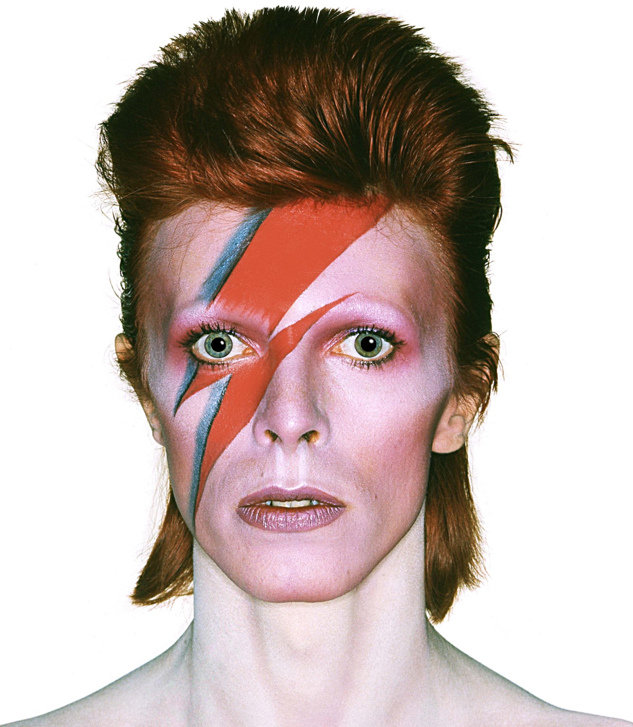 Major Tomboys - Shows