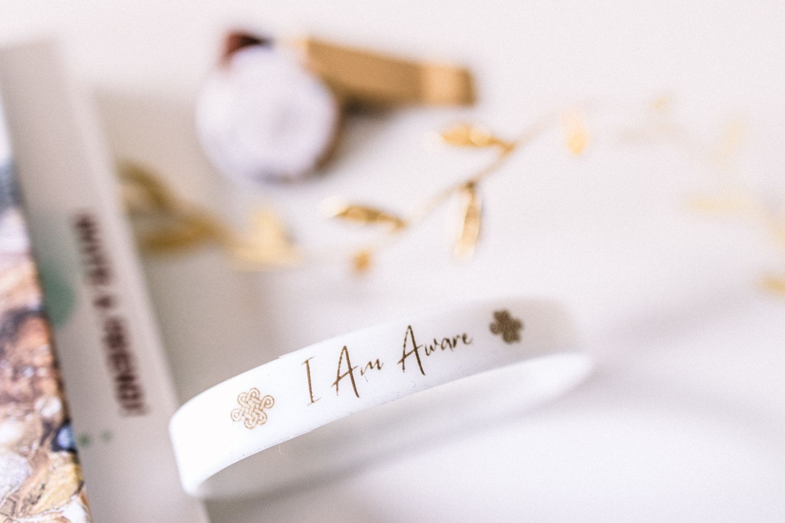 Dr. Kelsey Miles - 100Days