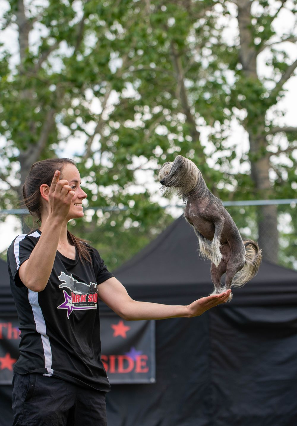 The Bark Side - Our Show