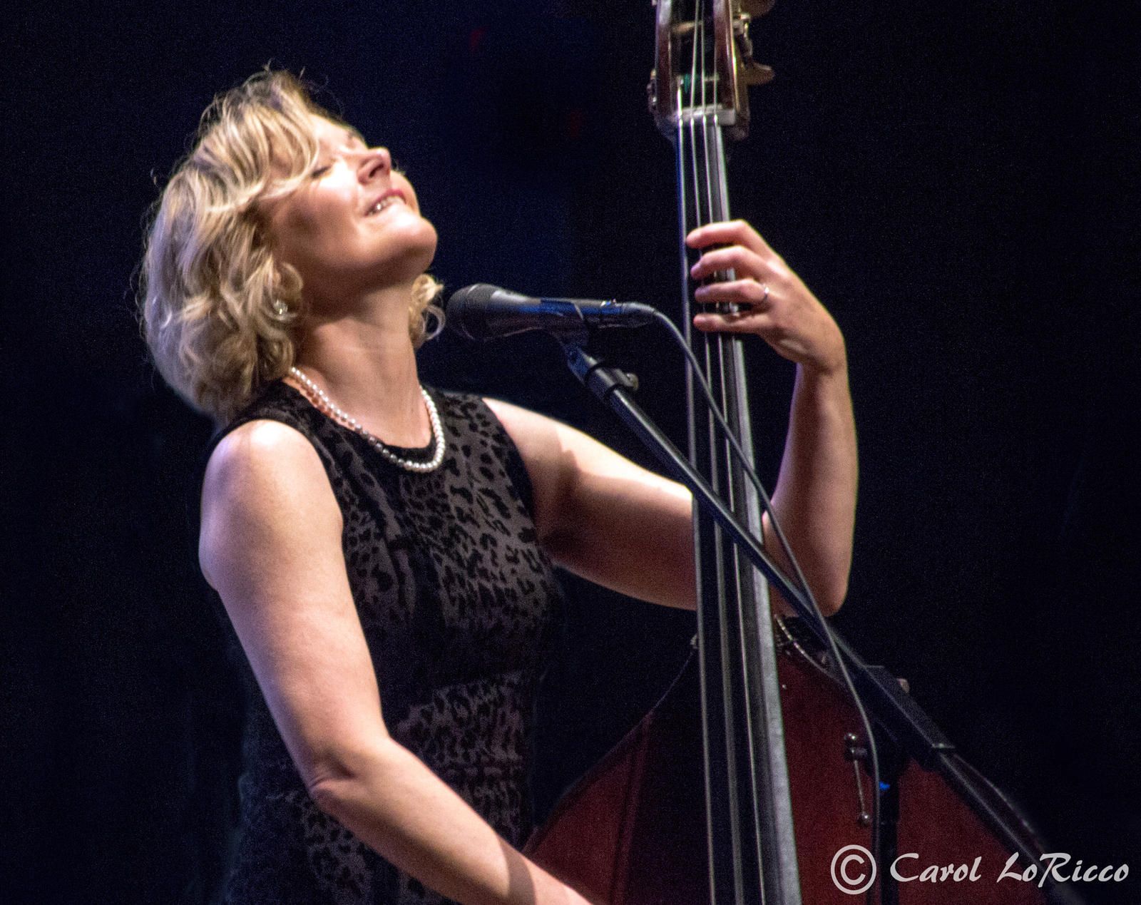 Jazz Club of Sarasota - Photo Gallery