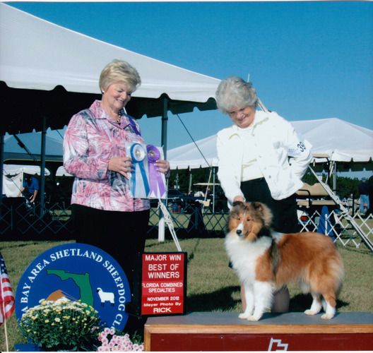 WEIS SHELTIES - Gram's Page
