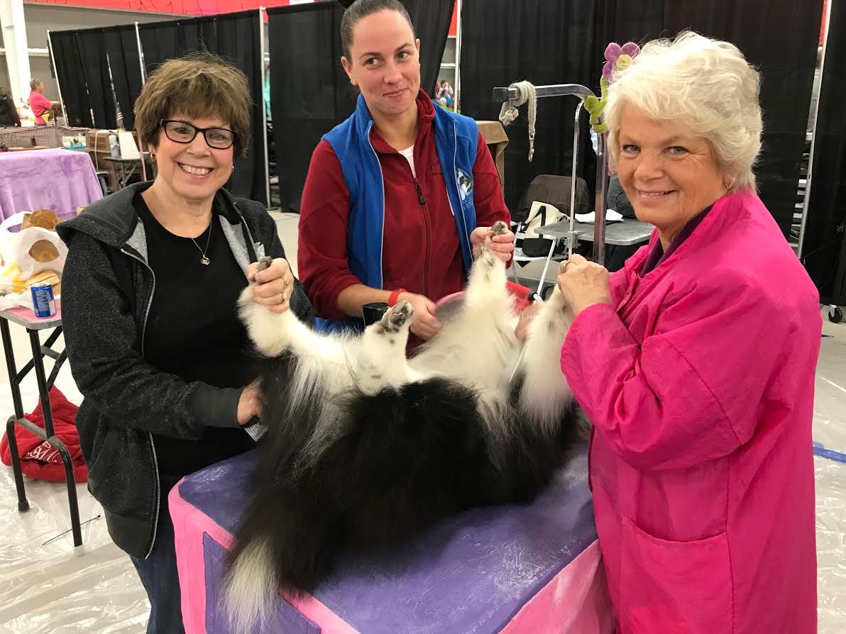 WEIS SHELTIES - Walker's Page
