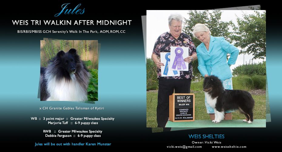 WEIS SHELTIES - Jules Page