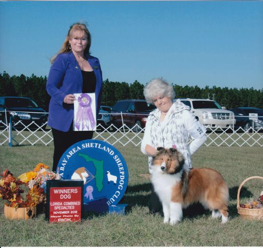 WEIS SHELTIES - Gram's Page