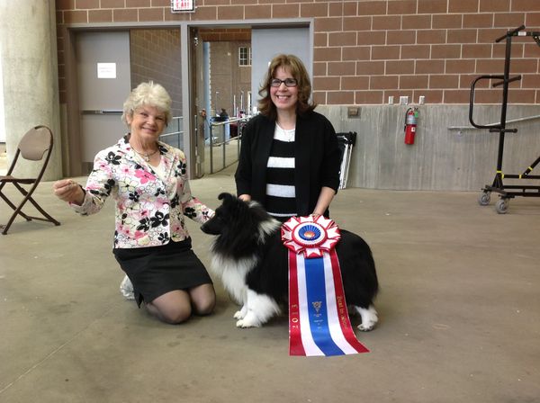 WEIS SHELTIES