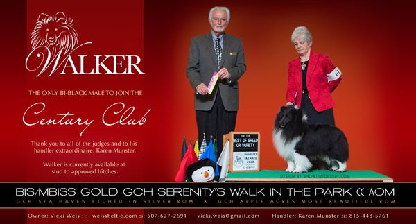 WEIS SHELTIES - Walker's Page