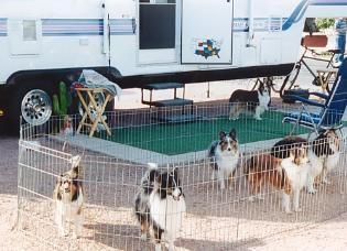 WEIS SHELTIES - Our Home