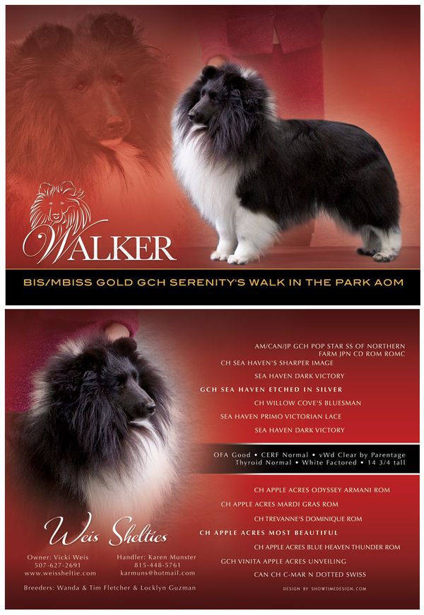 WEIS SHELTIES - Walker's Page