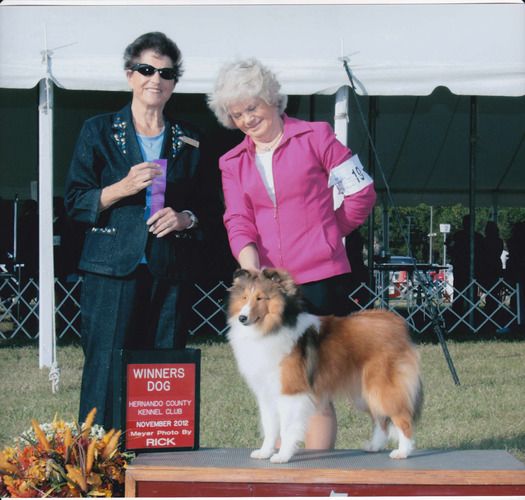 WEIS SHELTIES - Gram's Page