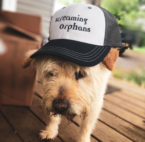 Screaming Orphans - Shop Clothing and More