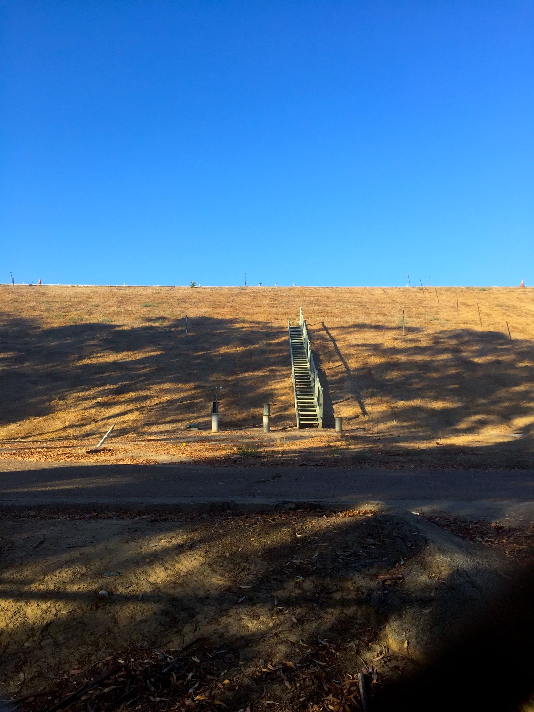 Strange Parade - Shows