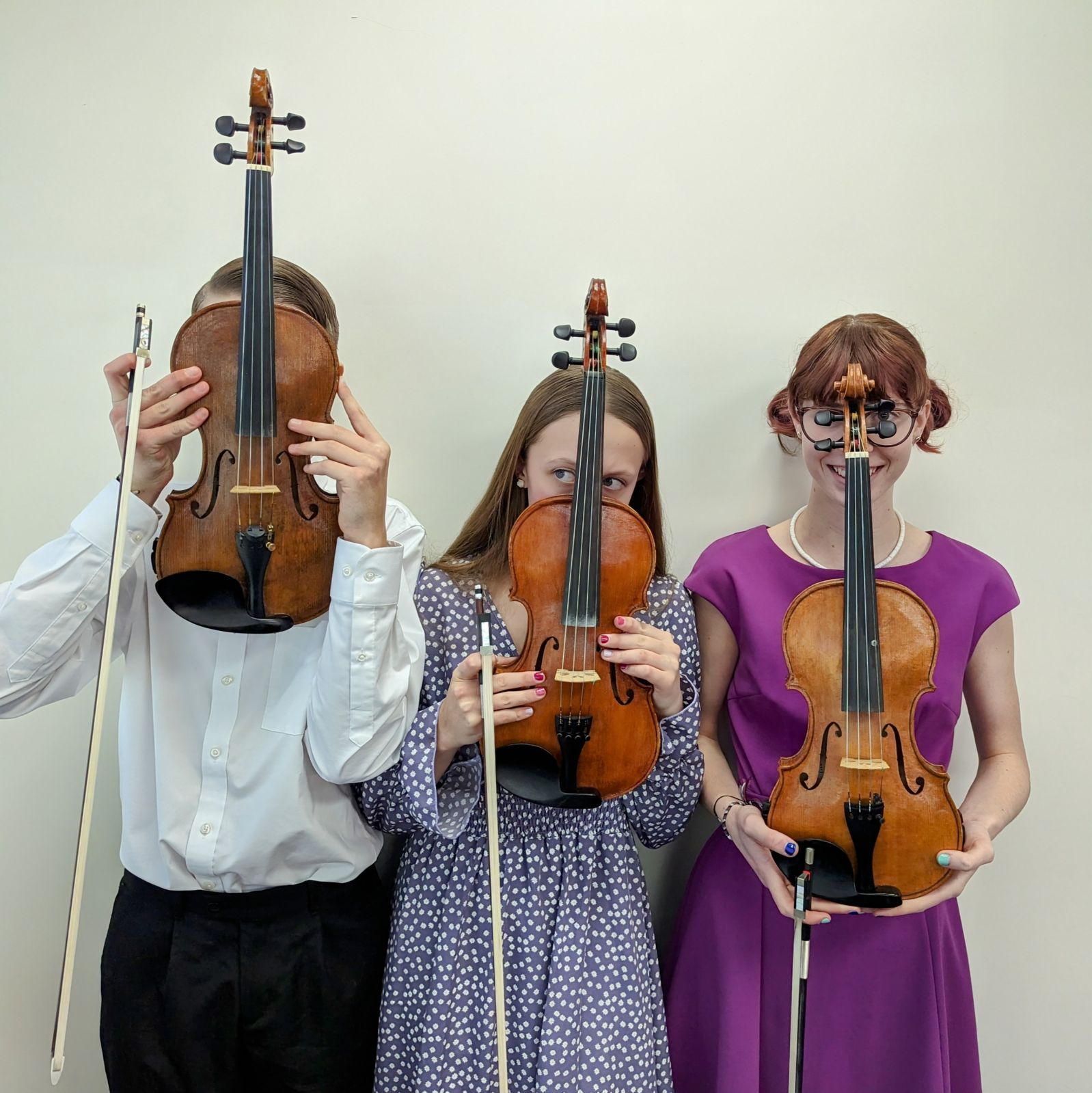 Fiddle Express - Bio