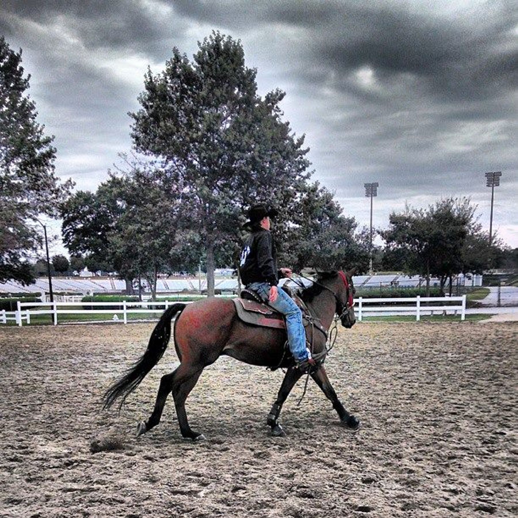 Double J Barrel Horses