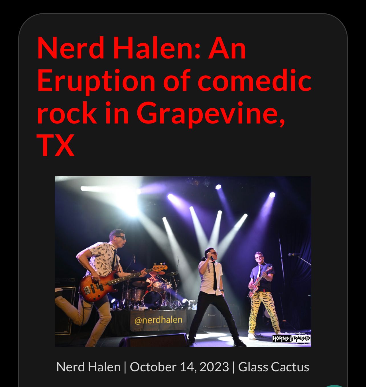NERD HALEN - NEWS