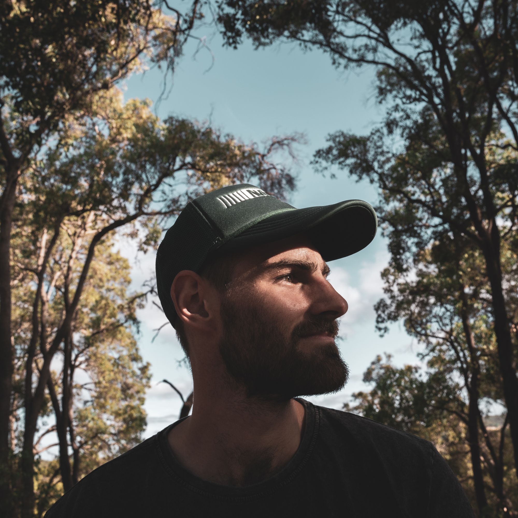 Brandon Poletti - About