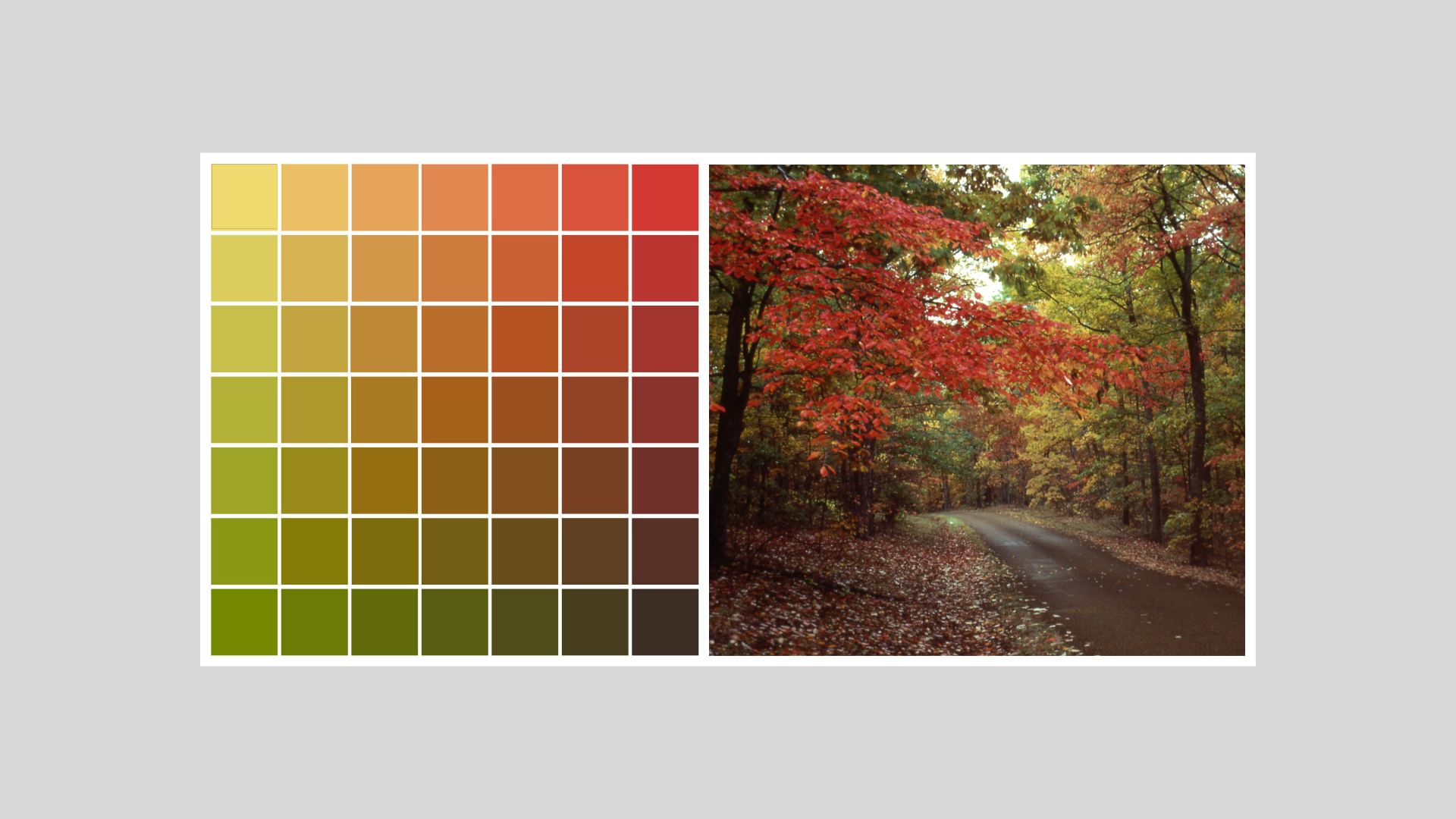 Color Scheme Development Inspired by Nature