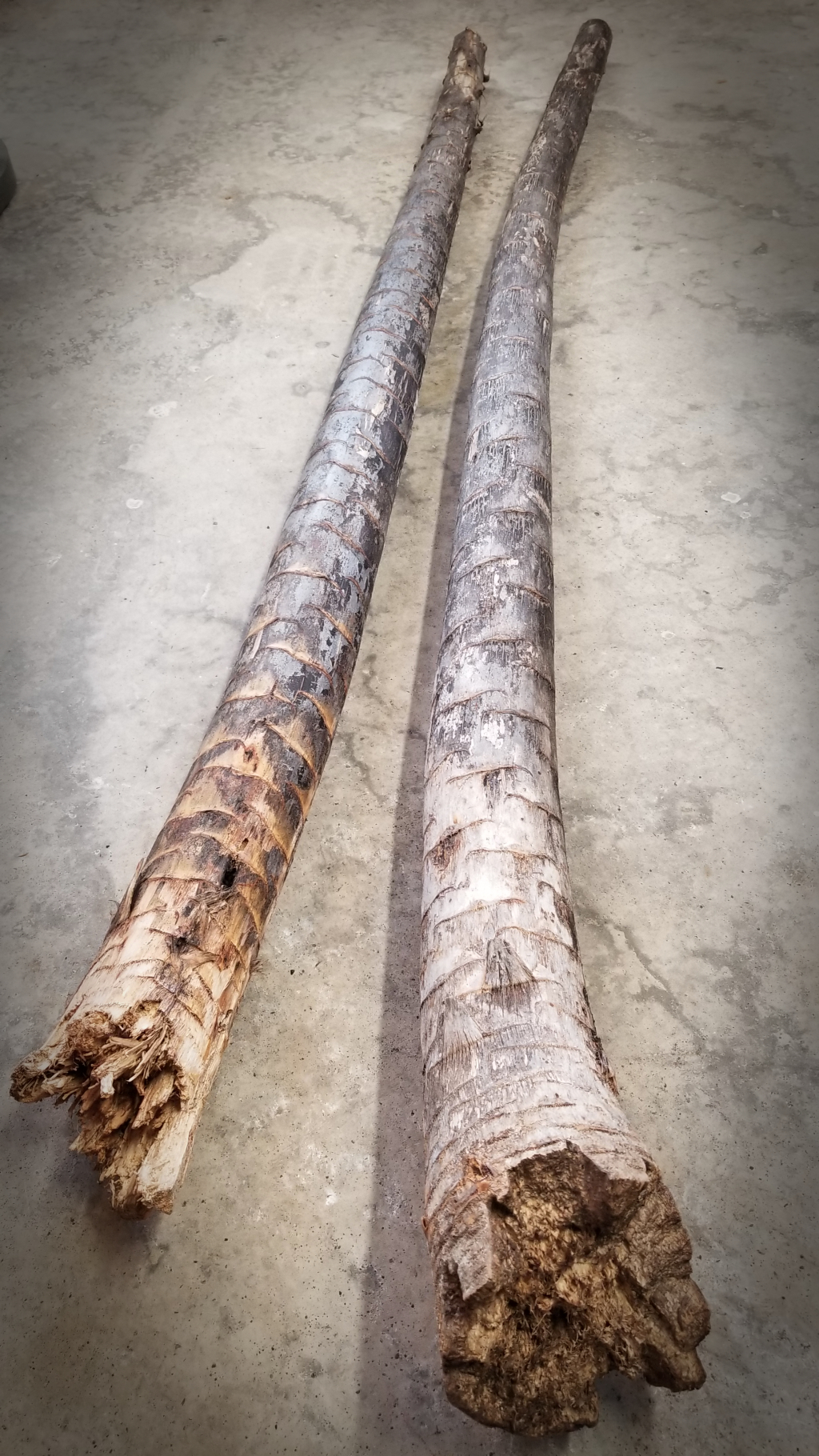 New Didgeridoos On the Way!