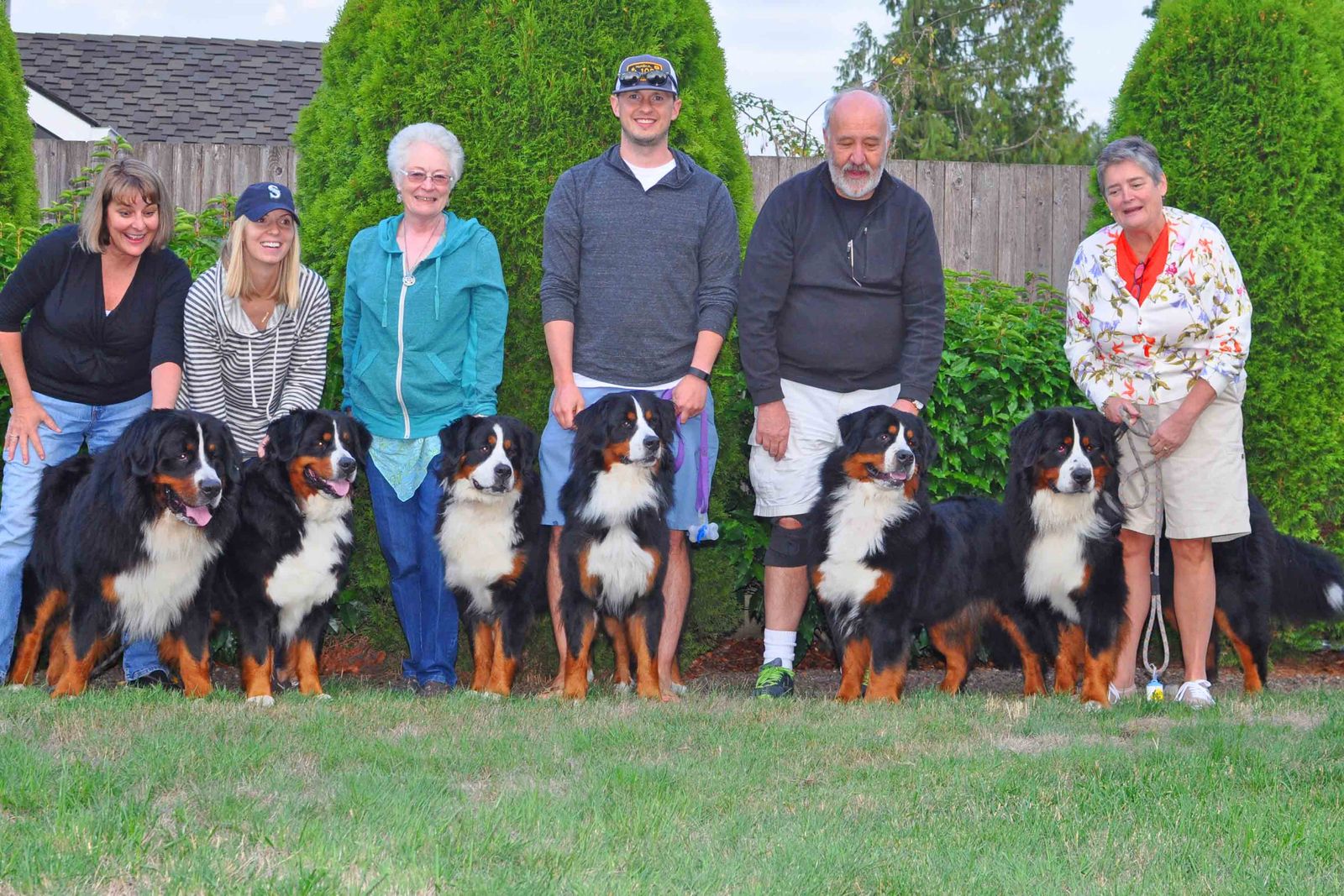 RavenRidge Bernese Mt Dogs - L Litter